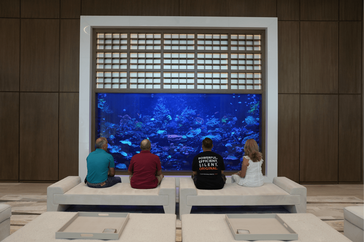 aquaristics – Abyzz